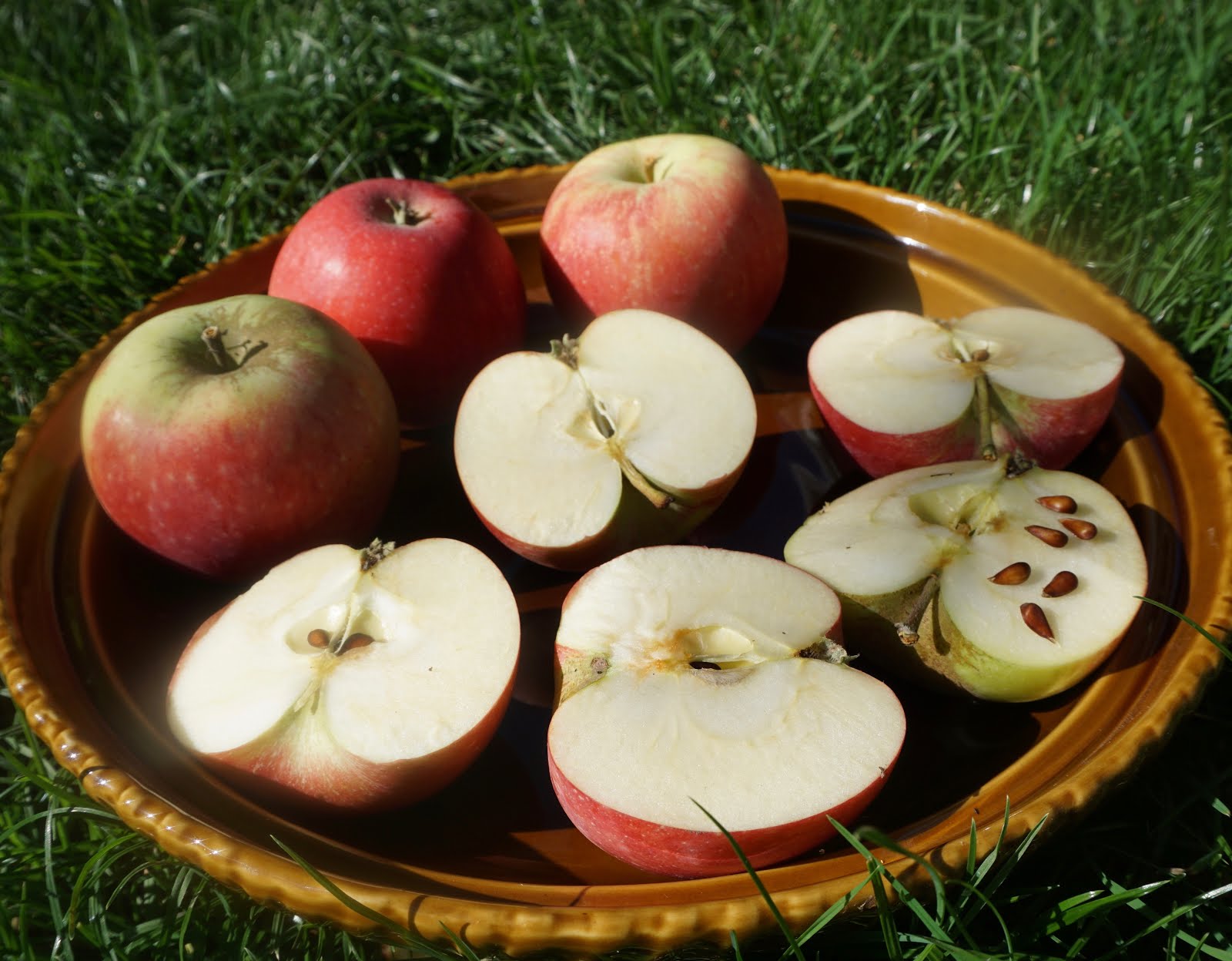 Svenska äpplen: Gissa äpplet -- 2