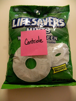 The Fantastic Five: Jello Animal Cell