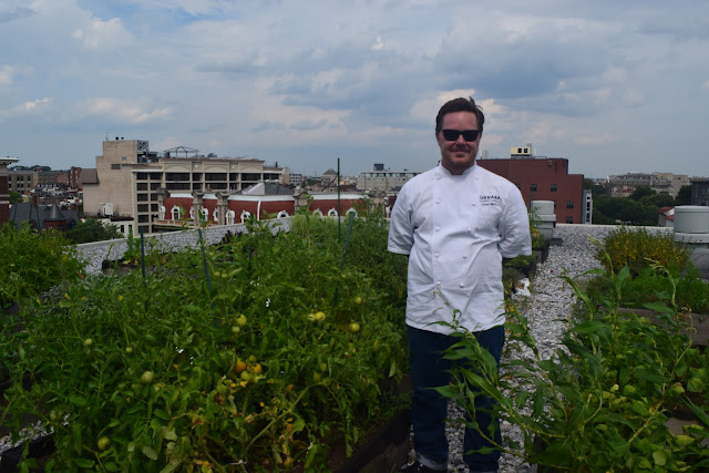 WashingtonGardener: CHEF GARDENS: Up Top with Urbana