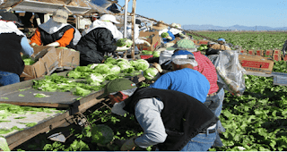 General Farm Worker Vacancy in Canada - Worldswin: jobs apply ...