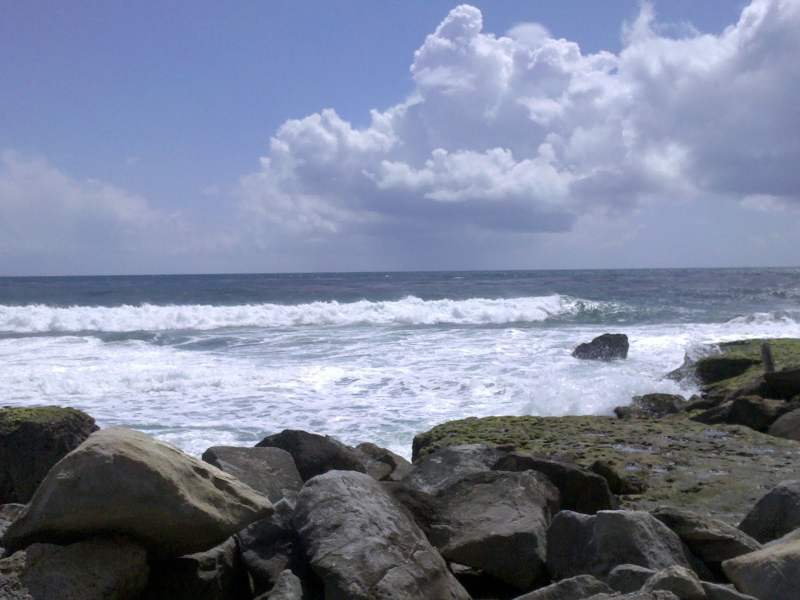 Cindy Anderson Deetz: Who is Cindy Anderson Deetz and why is she ...