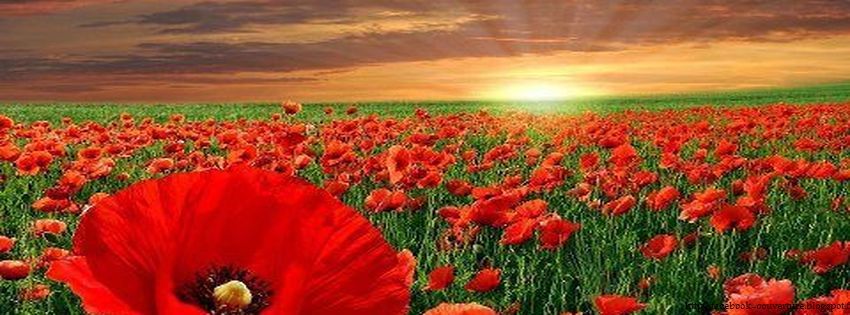 6 Magnifique couvertures facebook nature