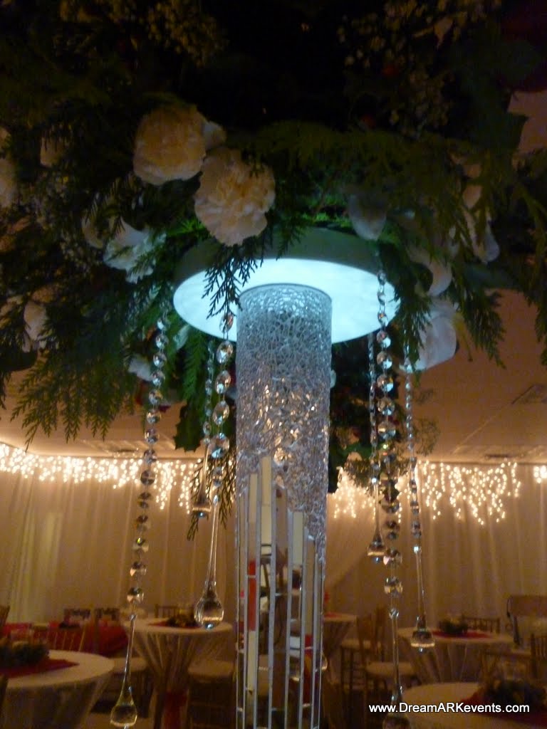 DreamARK Events Blog: Holiday event decoration with drape and Lights ...