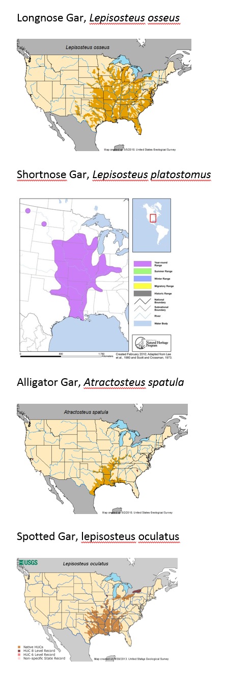 Fishing and Thinking in Minnesota