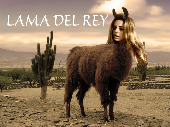 .: Lama Del rey