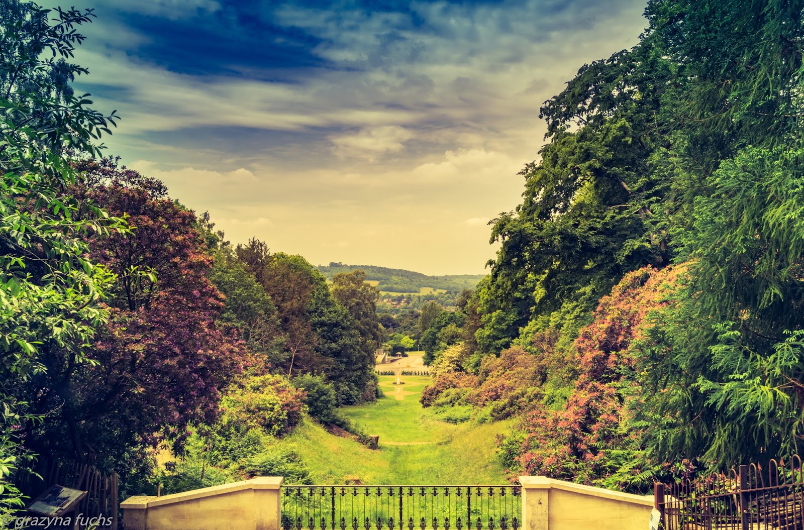 Enjoy your time with beautiful places: The Deepdene Trail