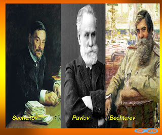 La Reflexología Rusa