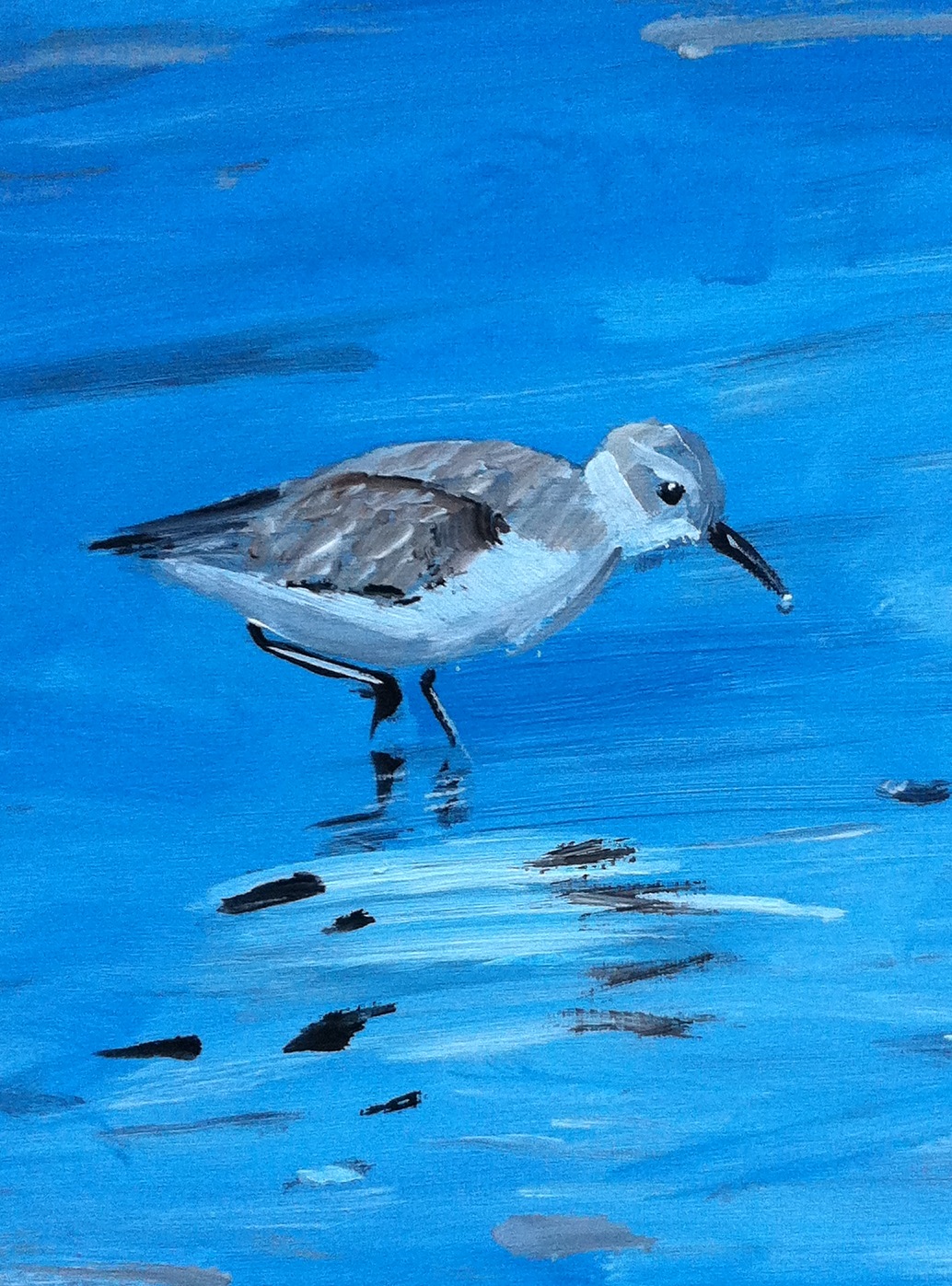 foto's en schilderijen: Strandloper