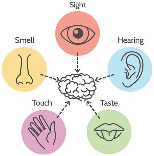 6 Senses