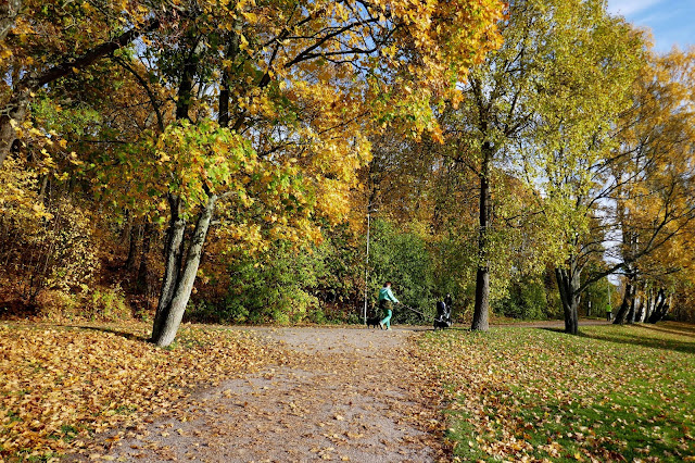 Enjoy the beauty of Autumn - this is how the autumn colors look like in ...