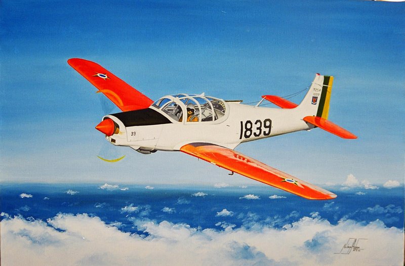 NELSON ANAYA - A ARTE AERONÁUTICA