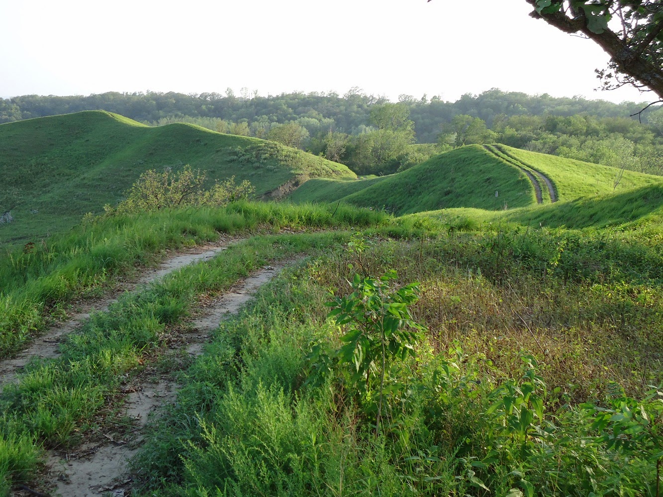 Hitch Hike: Badger Ridge Trail