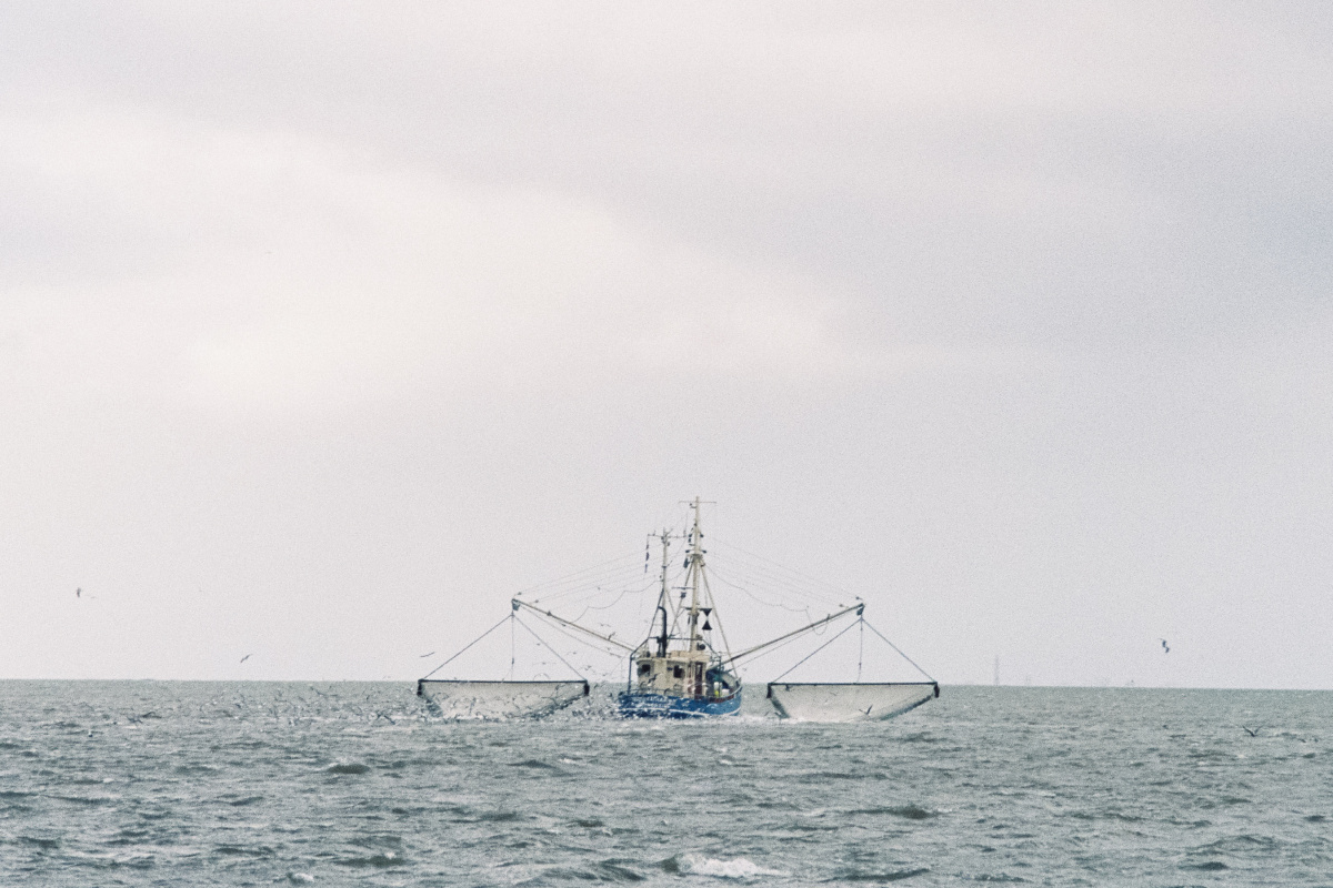 Fotografie auf Film: Seehundbänke vor Baltrum, Fischer in der Accumer ...