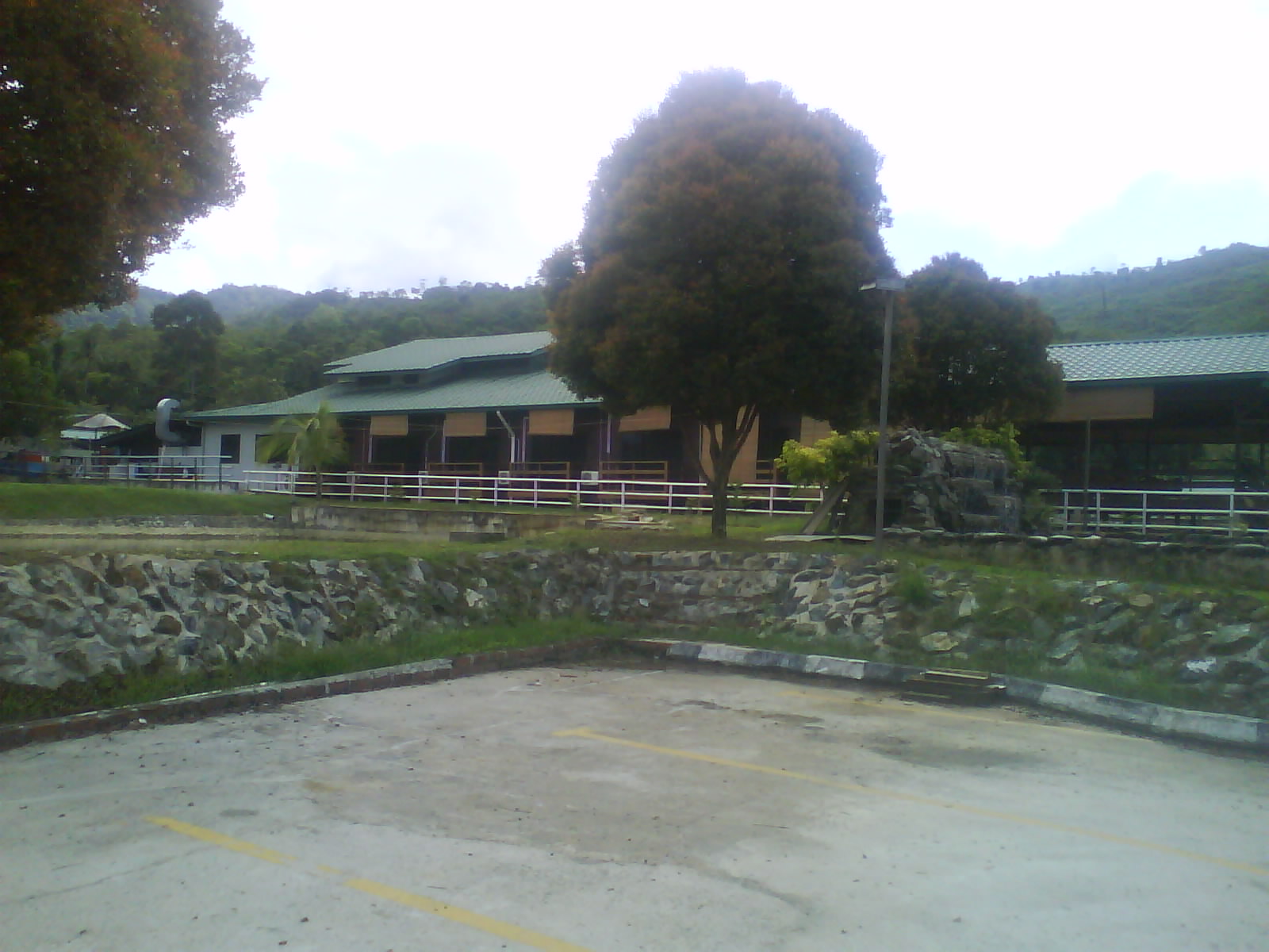 D'Siringwalai: Damai ECo Ranch Yang Mendamaikan