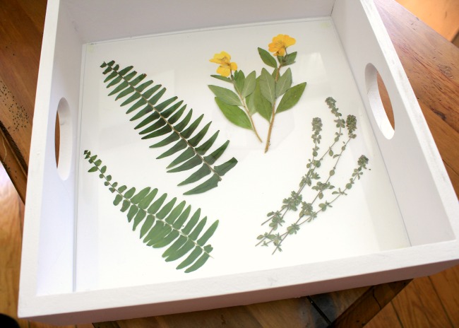 DIY Botanical Tray - Crafts a la mode