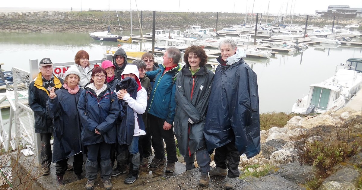 LES MILLE-PATTES DE SAINTONGE: LES MATHES/LA PALMYRE (Ch-M).