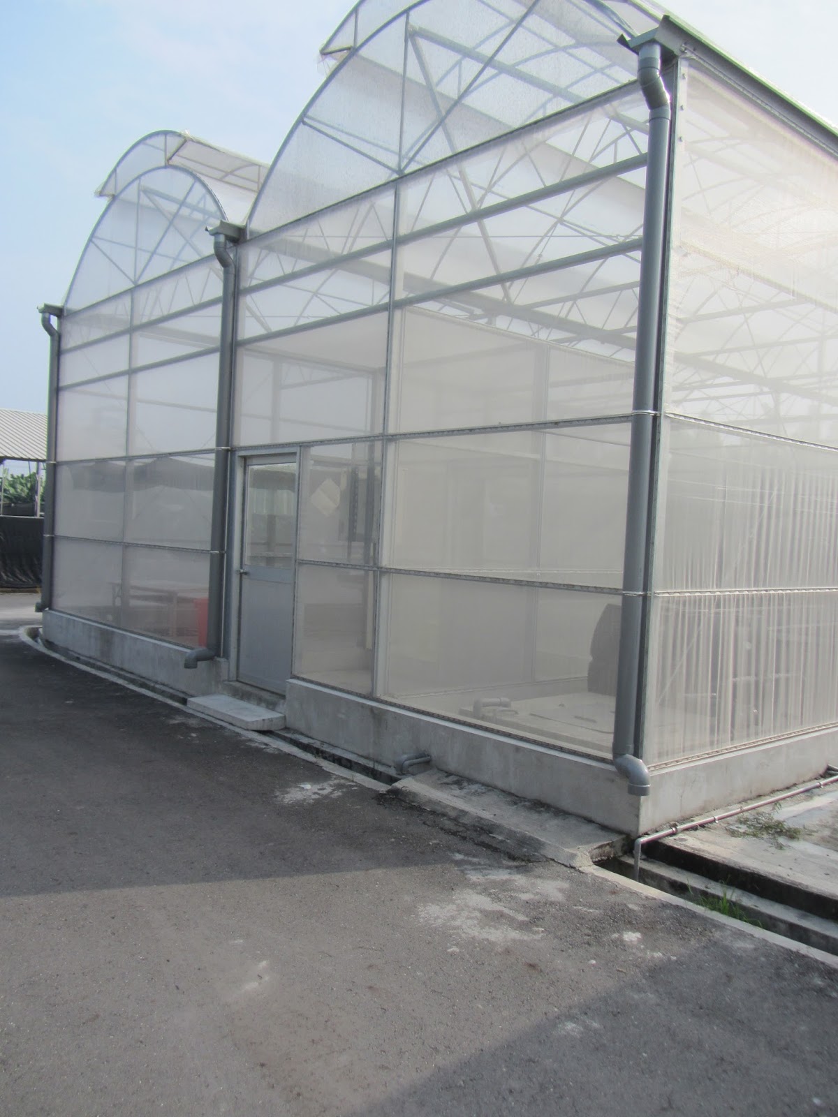 Estudiando Agricultura en Taiwán: Invernadero para compost