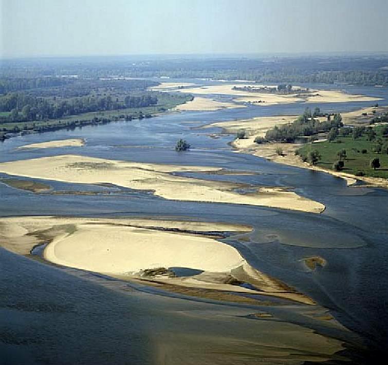 moje miasto jest nad rzeką: Wisła - dzika rzeka