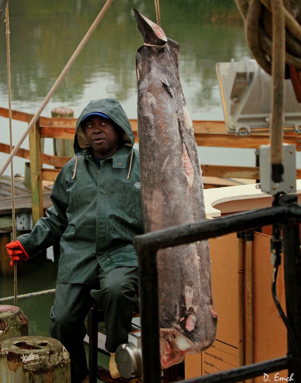 Capture America Journal: Saturday 2/1/14 Long Line fishermen