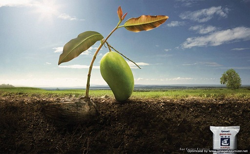 10 Foto Iklan Digital Pupuk Tanaman yg alay (2013) - Afrid Fransisco