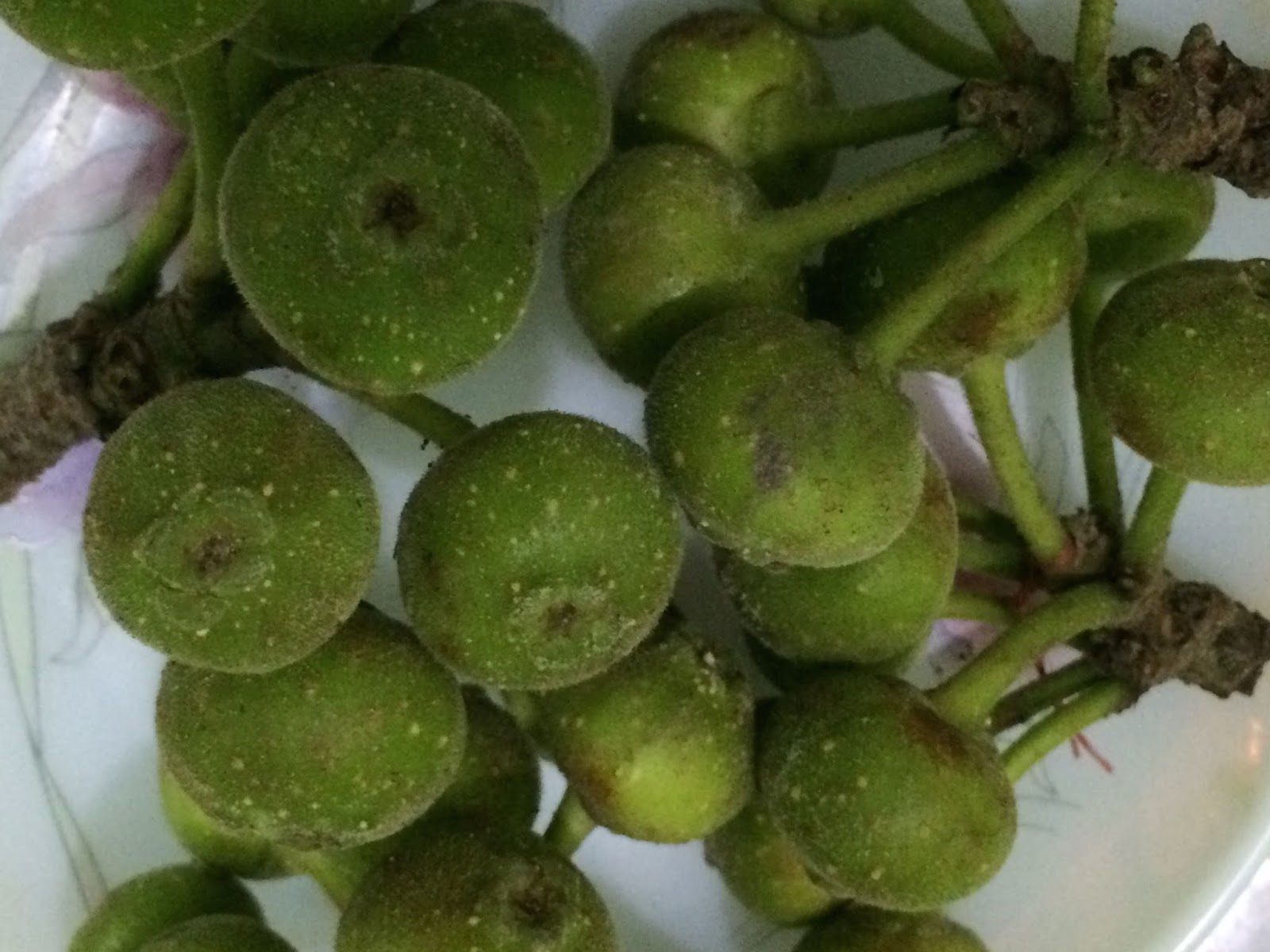 Scalable Analytics and all that Jazz: July 2016