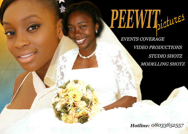 Dr Peewit Wedding Affairs Events Decorations And Weddings dr-peewit-wedding-affairs-events-decorations-and-weddings