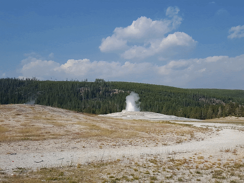 1st Trip to Yellowstone | Backcountry Post