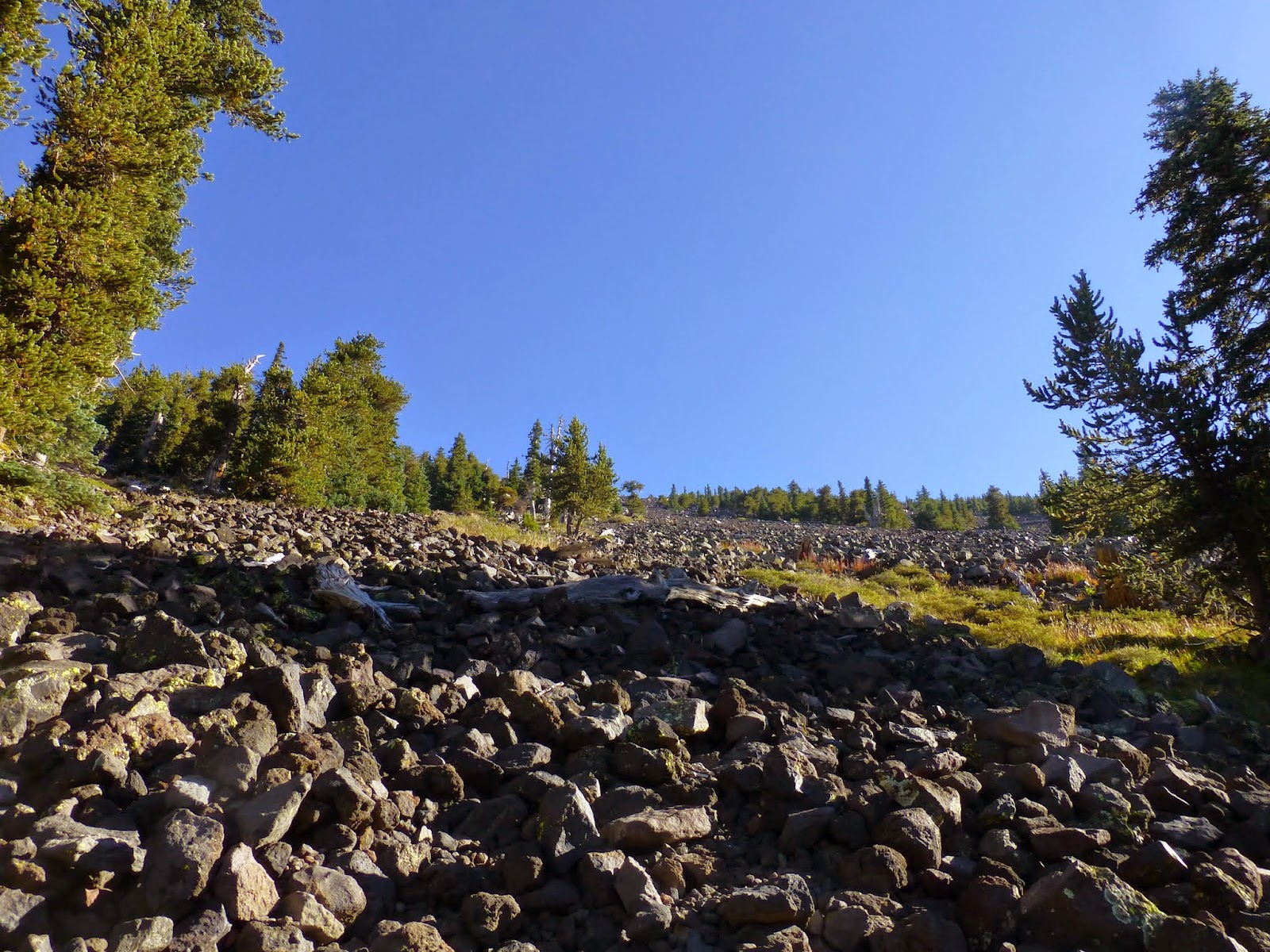 Off on Adventure: Humphreys Peak - Arizona High Point (12633') - 9/12/14