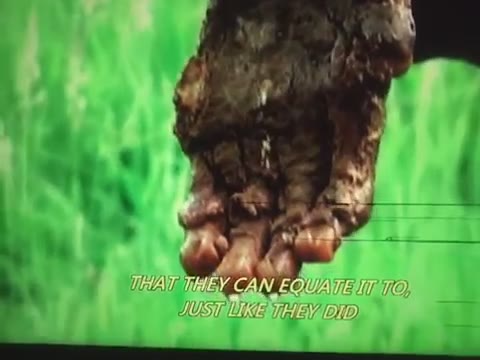 The Bigfoot Field Journal: Bigfoot Leg/Foot and Hand Found in 2007?