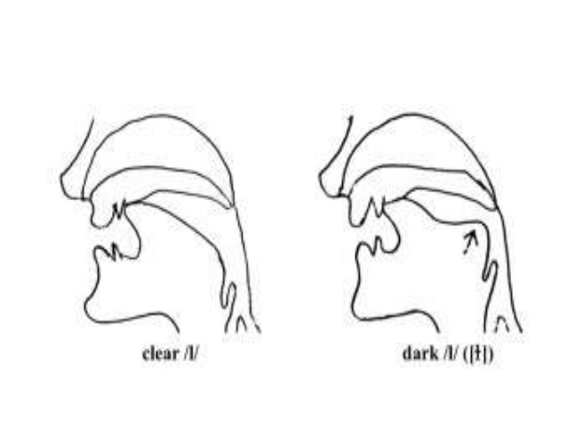 ฝึกภาษาอังกฤษในชีวิตประจำวัน: ตารางประกอบการออกเสียง Phonetic