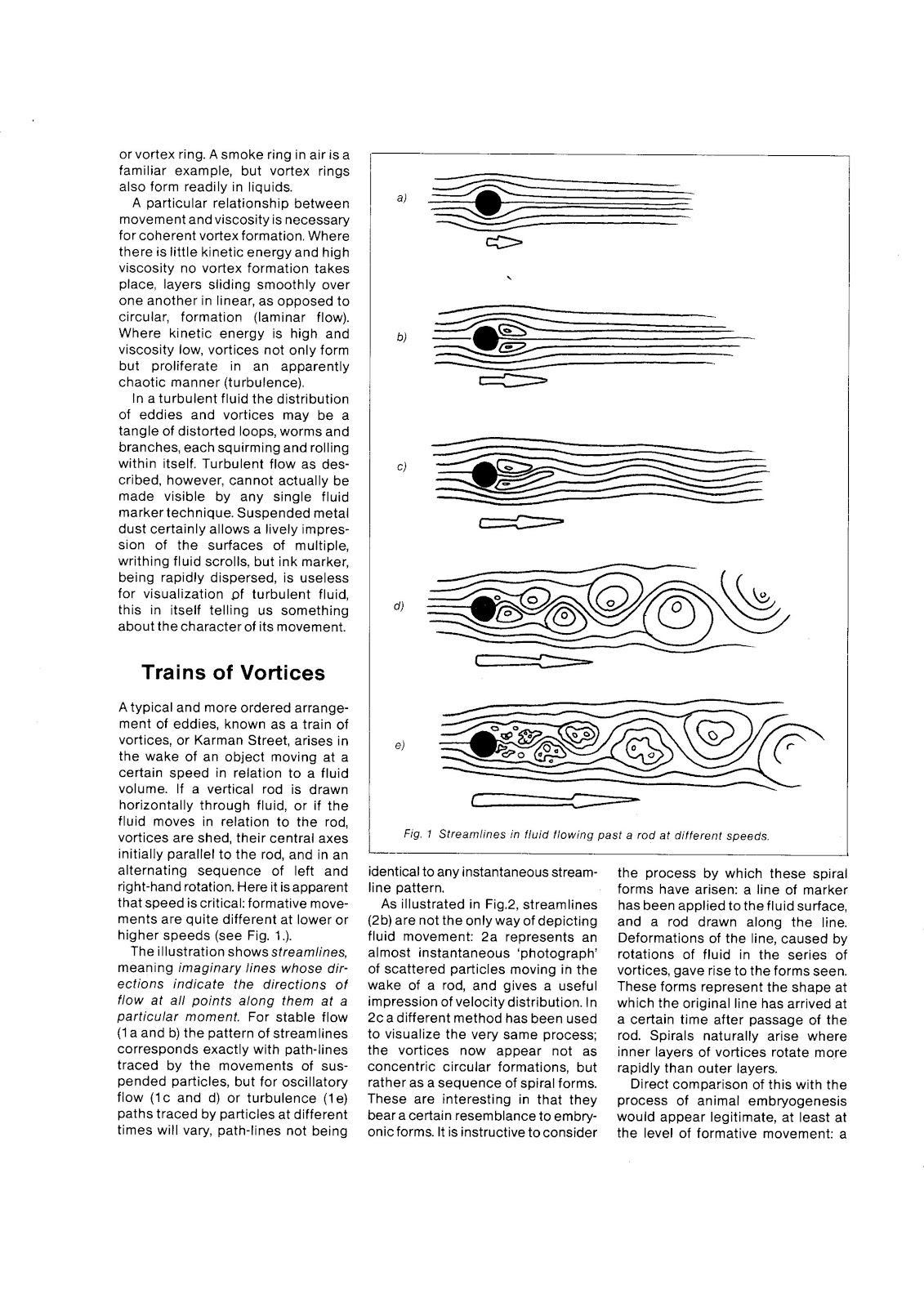 Flowforms and Environment Art: 2012