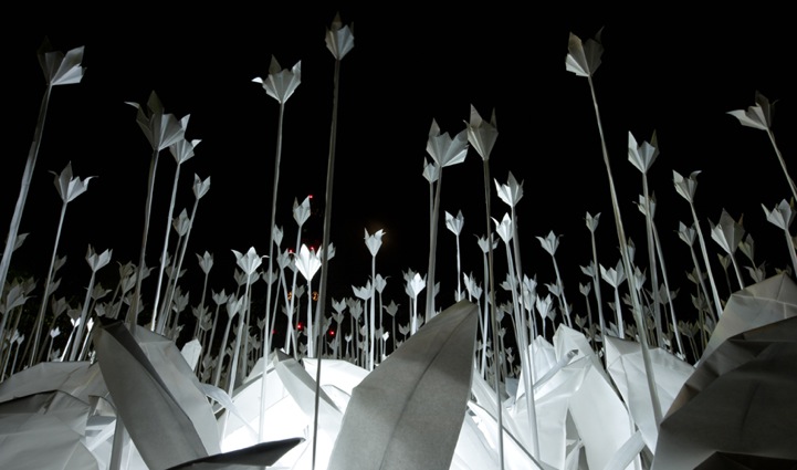 Mashmoom: Folding for Peace paper flowers