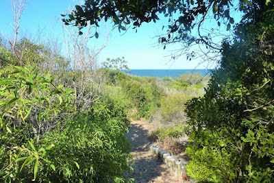 National Park Odyssey: Wreck Rock Campground and Middle Rock Campground ...