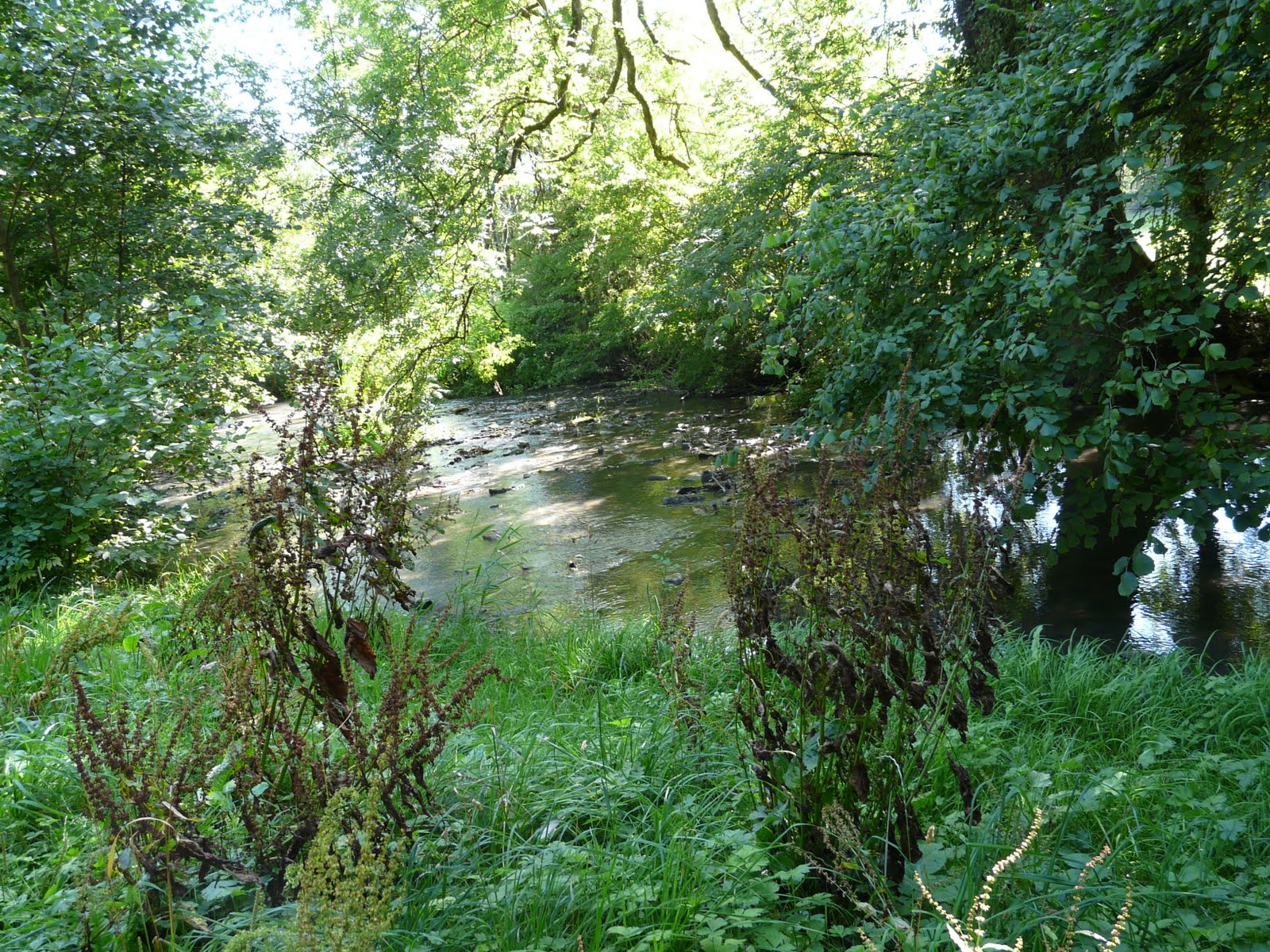 Foraging in The Cotswolds: Rendcomb Village