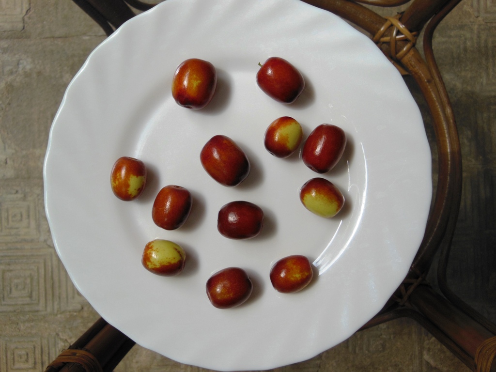 No le digas a mi madre que estoy haciendo fotos: Azufaifa, fruto del ...