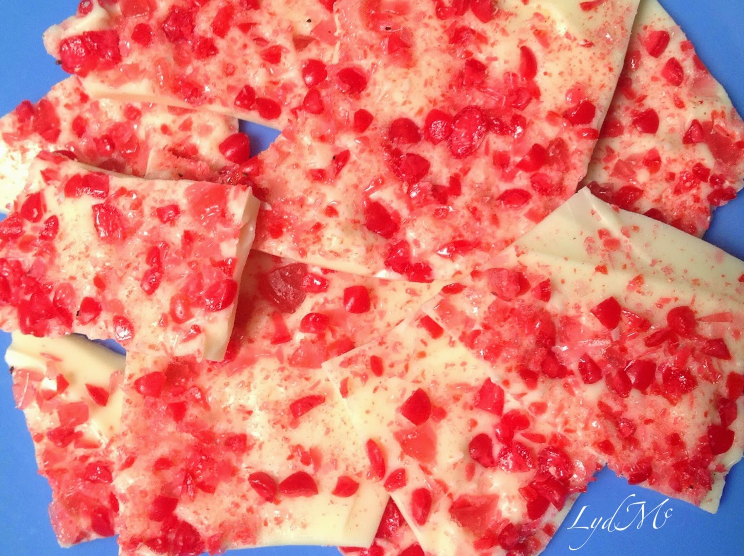 Shark Week Feeding Frenzy: Shark Bark!