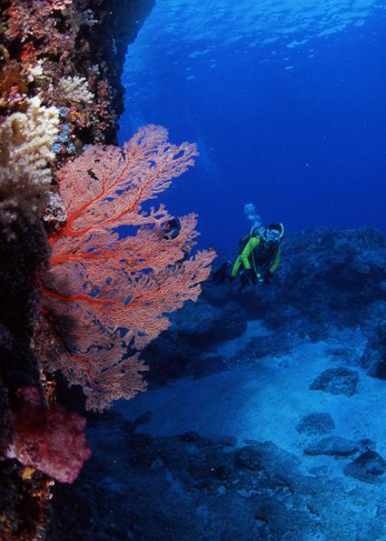 Travel_OFFmag: Palau islands