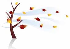 WACANA SAINS: Bagaimana Angin Bertiup???