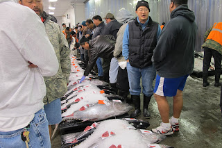 Honolulu Fish Auction - Munchie Musings
