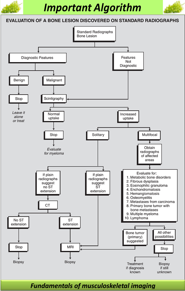 Easy Radiology: Evaluation of a bone lesion discovered at standard ...