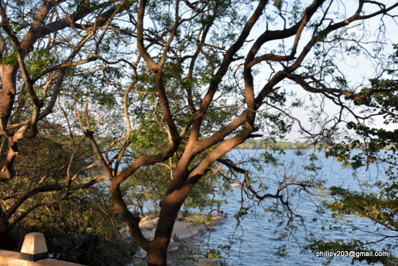 Images of Sri Lanka on blogspot.com: Kala Wewa, Sri Lanka.