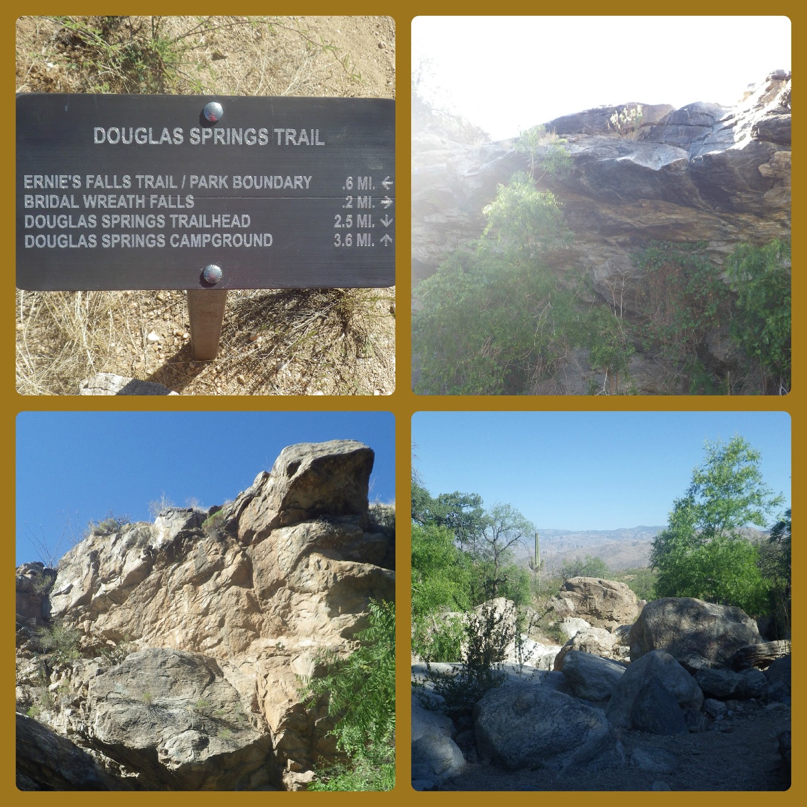 Heat Runner: Douglas Springs Trail to (not quite) Mica Mountain