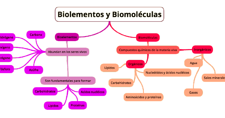 Bioelementos y biomoléculas - Mapa conceptual