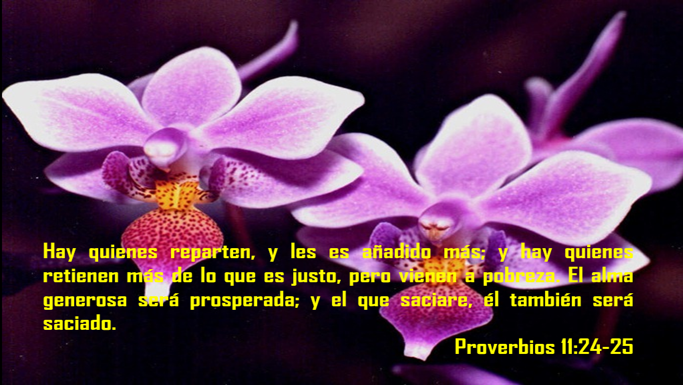 Palabra de Dios: El alma generosa será prosperada