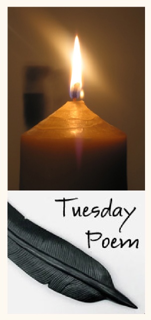 O Audacious Book: Tuesday Poem: hey sweet day