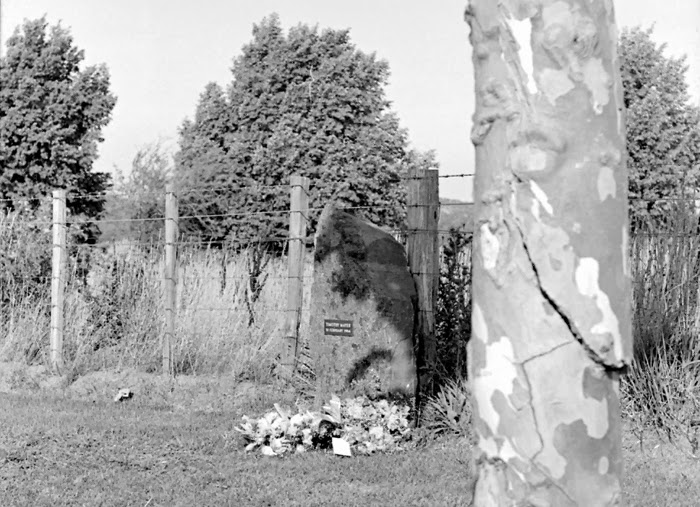 Continental Circus: Os últimos dias de Timmy Mayer