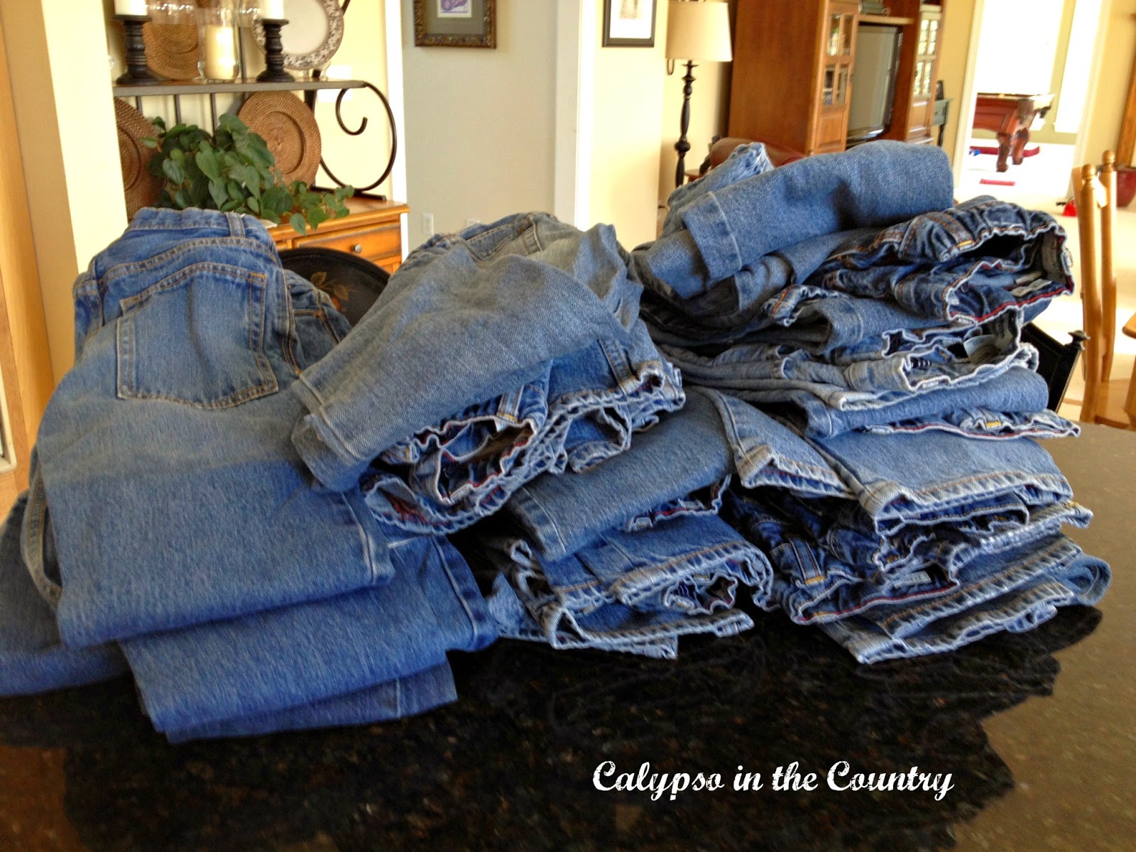 Recycling Your Denim - Calypso in the Country