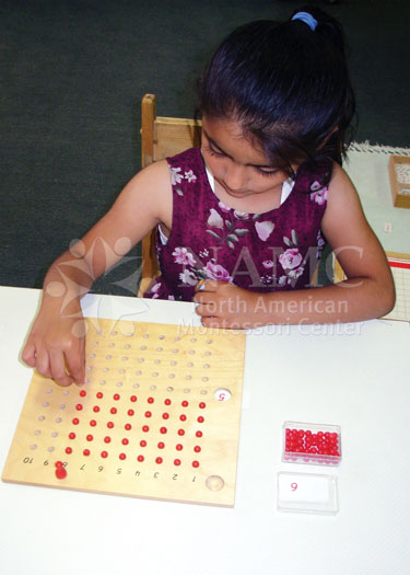Montessori Elementary Math Curriculum Tips Follow The Child NAMC montessori-elementary-math-curriculum-tips-follow-the-child-namc
