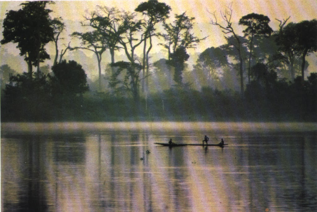 tropicalia: " rio Zaire ou Congo"