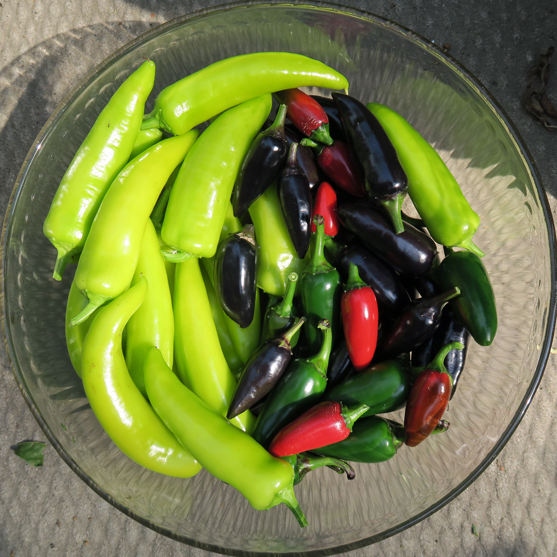 ALONE ON A WINDY RIDGE: From a bowl of peppers to a pail of nails and ...